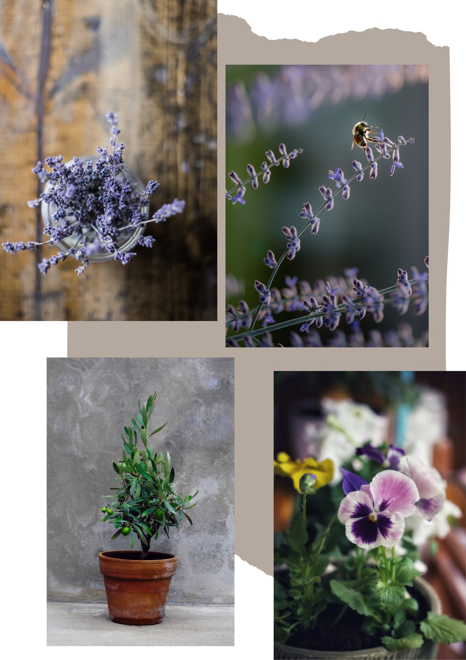 Tips Til Altan Indretning – Sådan Får Du En Hyggelig Altan - Love The Look